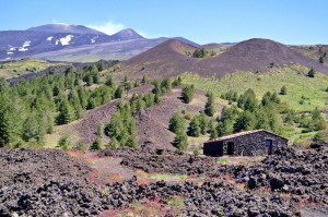 Famous Volcanoes: List Of Volcanic Eruptions With Pictures & Facts