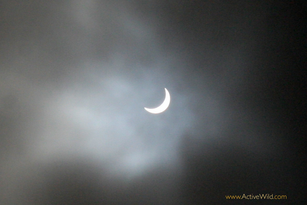 Solar Eclipse 2015 UK Report - Active Wild