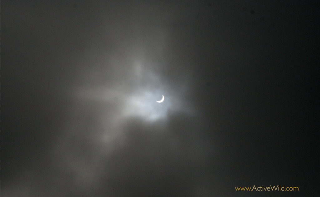 Solar Eclipse 2015 UK Report - Active Wild