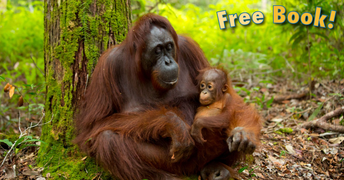 Free Animal eBook To Download from Active Wild