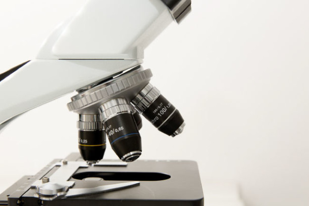 What Is Science For Kids: Definition & Scientific Method