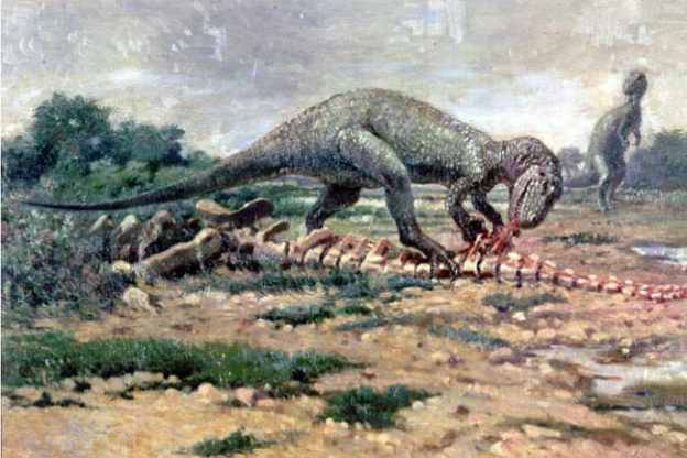 Allosaurus Facts for Kids & Adults: Pictures, Information & Video