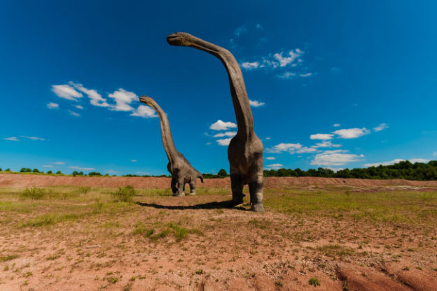 Allosaurus Facts for Kids & Adults: Pictures, Information & Video