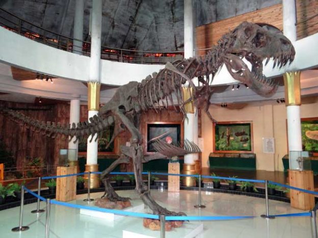 Were Dinosaurs Real? Using Fossils To Uncover The Past
