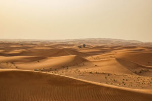 Sahara Desert Facts, Pictures: Discover The World’s Largest Desert ...
