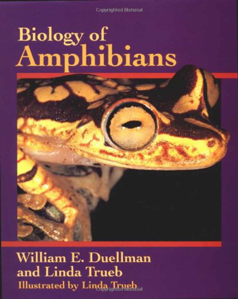 Amphibian Books: Books About Amphibians. Frogs, Salamanders, Caecilians