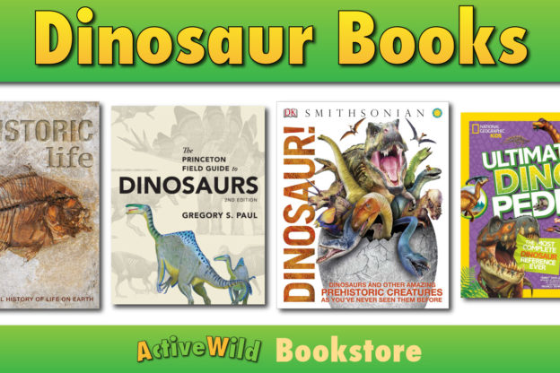 Dinosaur Books - Awesome Books About Dinosaurs & Prehistoric Animals