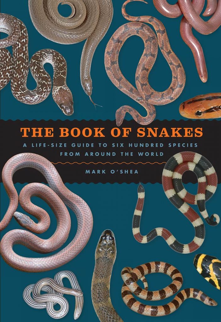 Reptile Books For Kids & Adults: Books On Snakes, Lizards & Crocodiles
