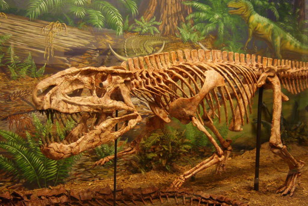 The Triassic Period Facts For Kids Adults Animals Climate Geography The Triassic Period Facts For Kids Adults Animals Climate Geography