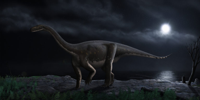 Triassic Dinosaurs List with Pictures & Facts: Triassic Period Dinos