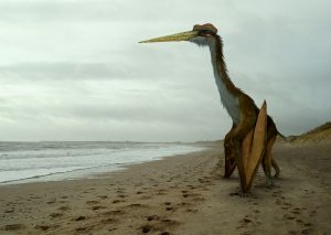 Pterodactyl Facts, Pictures & Information: Prehistoric Flying Reptile
