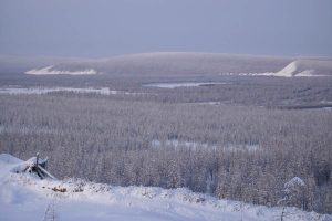 What Is The Taiga Biome? Discover Animals & Plants Of The Boreal Forest