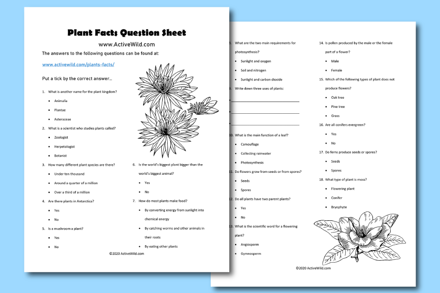 Plants Facts For Kids Students With FREE Printable Plants Worksheet