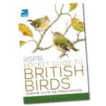 What Is The Best British Bird Book? Recommended Books For Birders UK