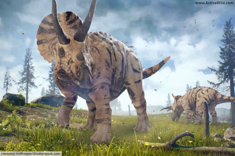 The Most Popular Dinosaurs: List With Pictures & Interesting Facts