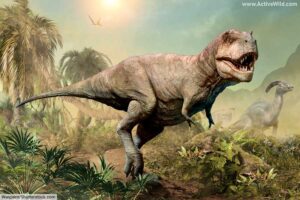 T Rex Dinosaur Facts, Pictures & Info: Meet The Real Tyrannosaurus Rex