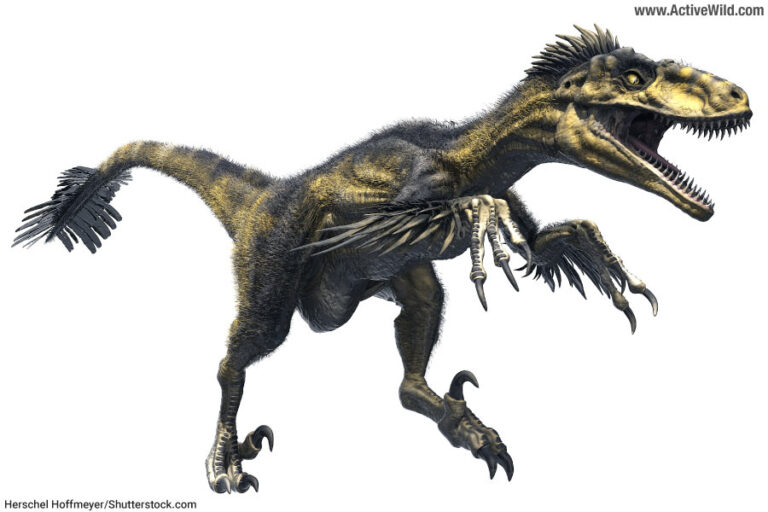 The Most Popular Dinosaurs: List With Pictures & Interesting Facts