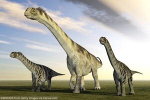 Camarasaurus Facts – Large Sauropod Dinosaur Of The Late Jurassic