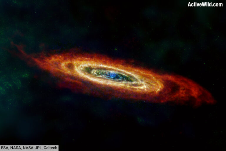 Universe Facts That Might Make Your Head Explode!