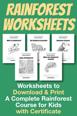 Rodent Facts: The Ultimate Guide To Rodents - Characteristics & Types