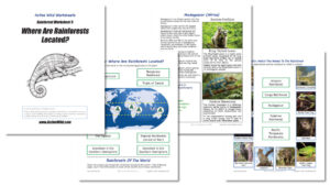 Rainforest Worksheets PDF Printables | Rainforest Expert Course